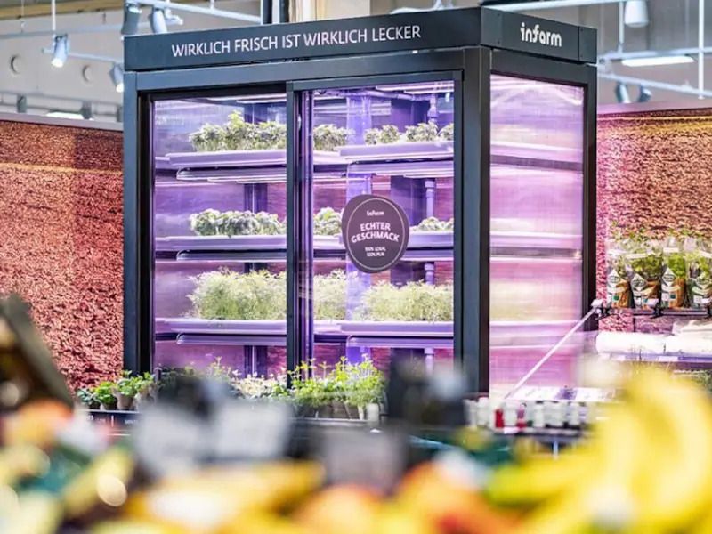Vertical Farming für zu Hause: Welche Geräte gibt es?